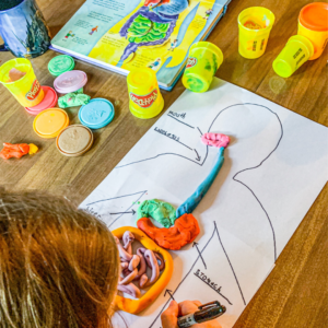 5 Steps to Start Homeschooling - Simply Learning Together