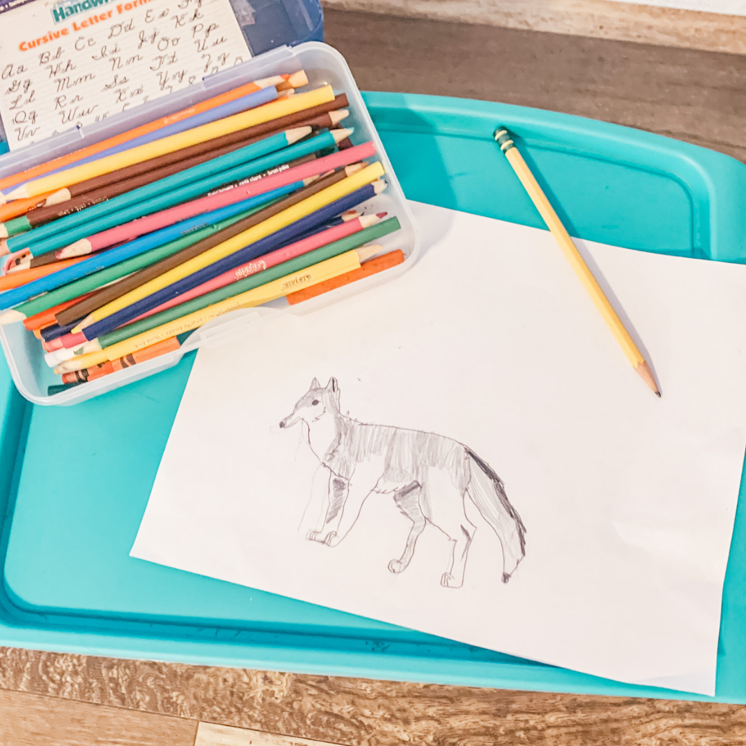 The Courage of Sarah Noble - A Homeschool Read Aloud Experience ...